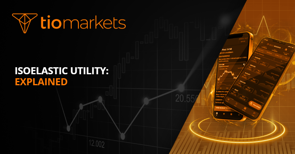 Isoelastic utility: Explained