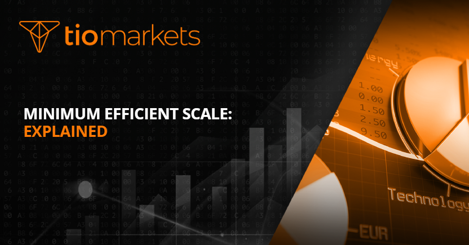Minimum Efficient Scale: Explained