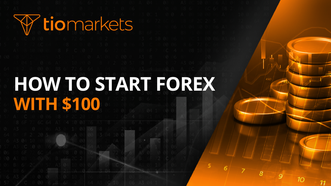 Forex Trading With 100 Dollars | How to start and what to expect