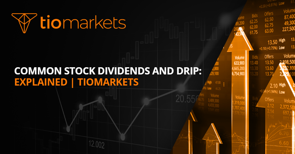 Common stock dividends and DRIP: Explained | TIOmarkets