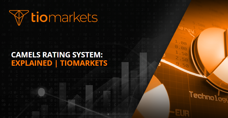 CAMELS rating system: Explained | TIOmarkets