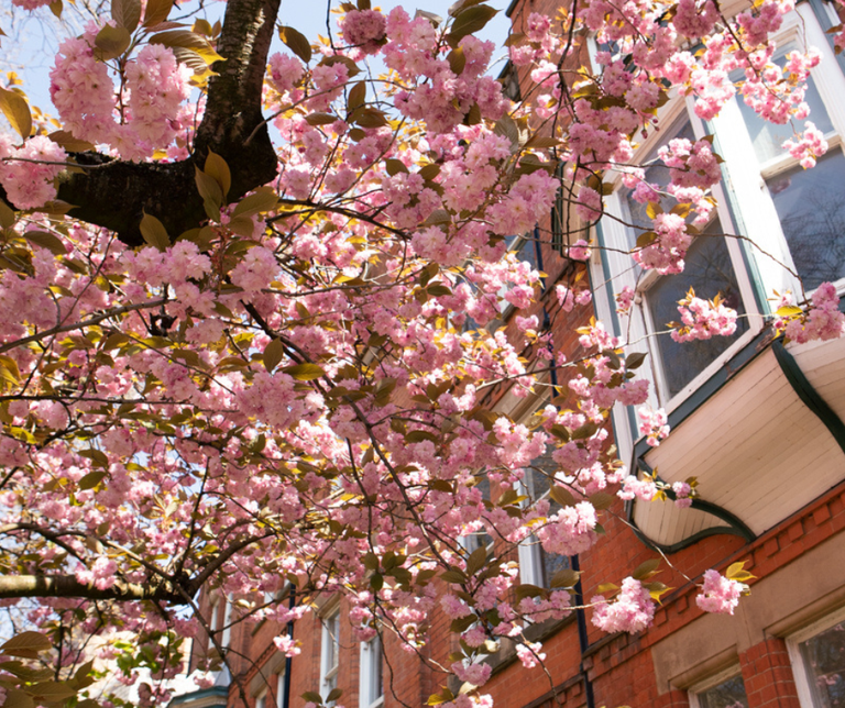 Things To Do In Nottingham | It's in Nottingham