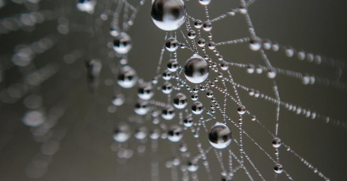 Free Google Crawl API