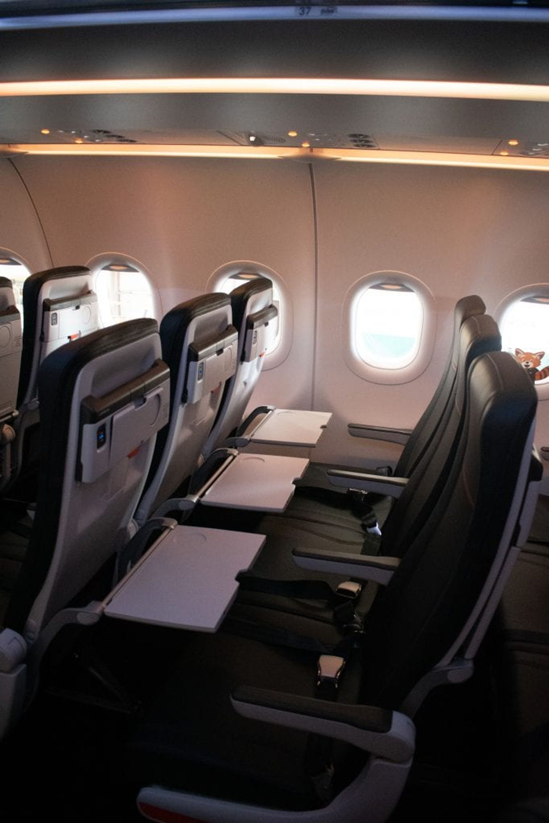 Explore Jetstar's First Airbus A321neo As It Arrives