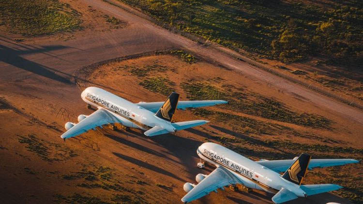 Rex Flight Canceled? Do This For A Refund