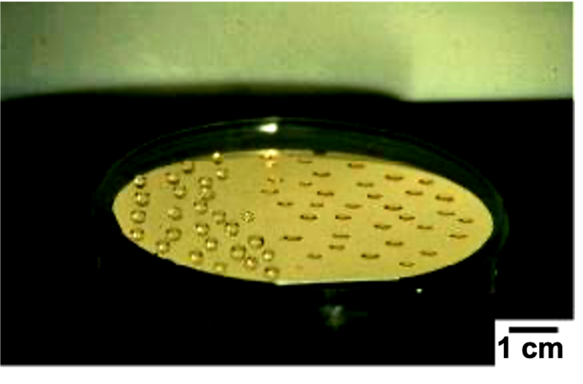 Kavli Prize Laureate Ralph G. Nuzzo | The Kavli Prize