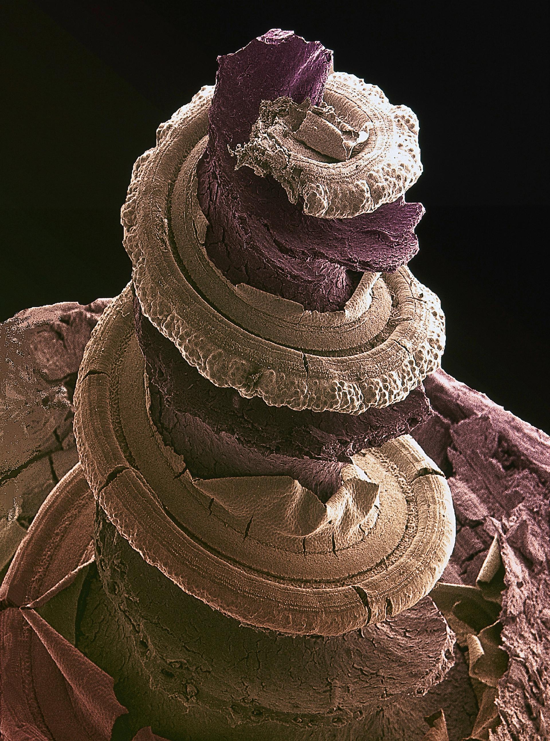 Guiding Principles | The Kavli Prize