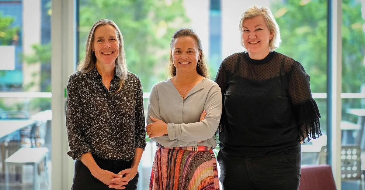 Miljødirektoratet blir medlem i Digital Norway: – Offentlig sektor bør ...