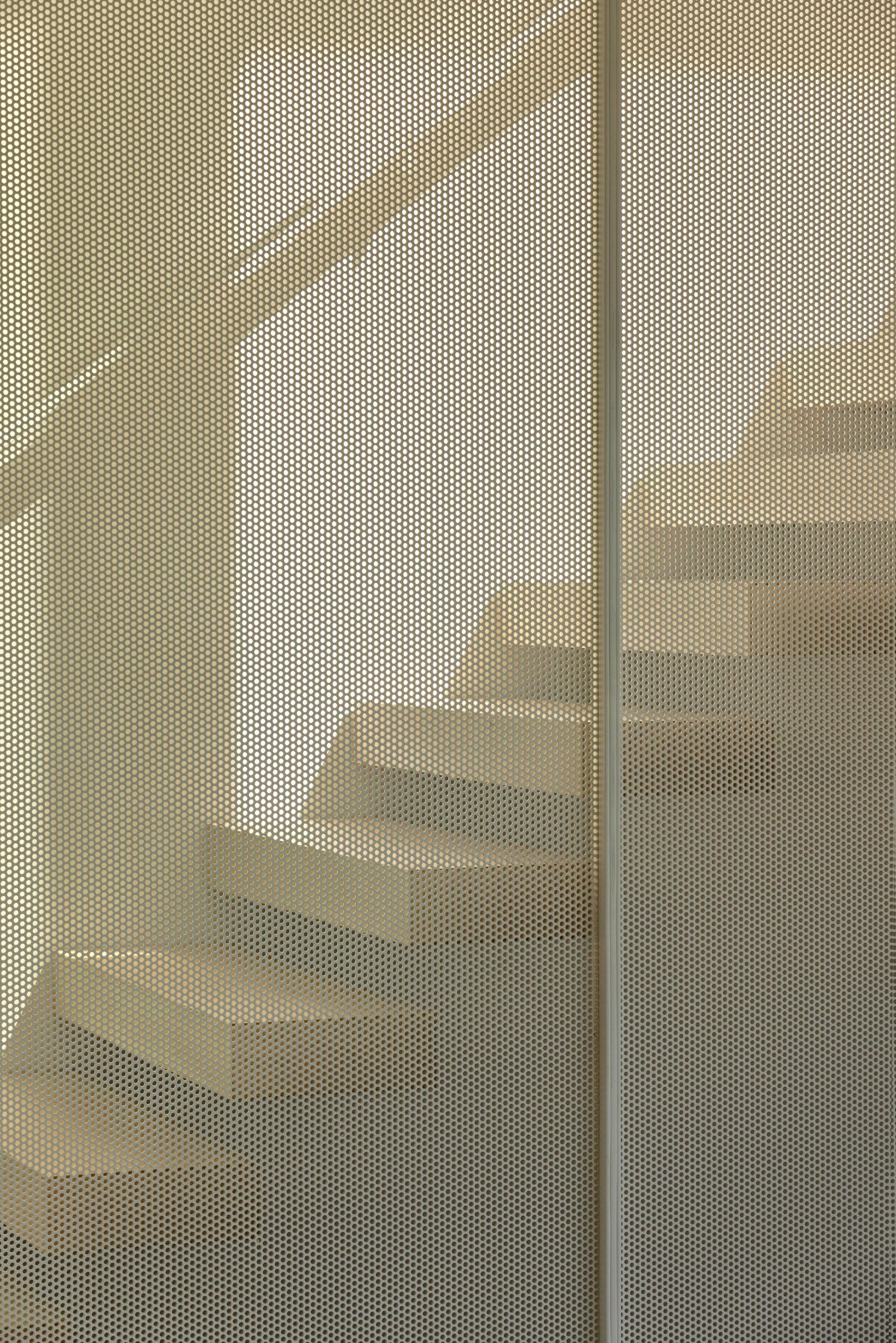 The Phoenix — Feldman Architecture