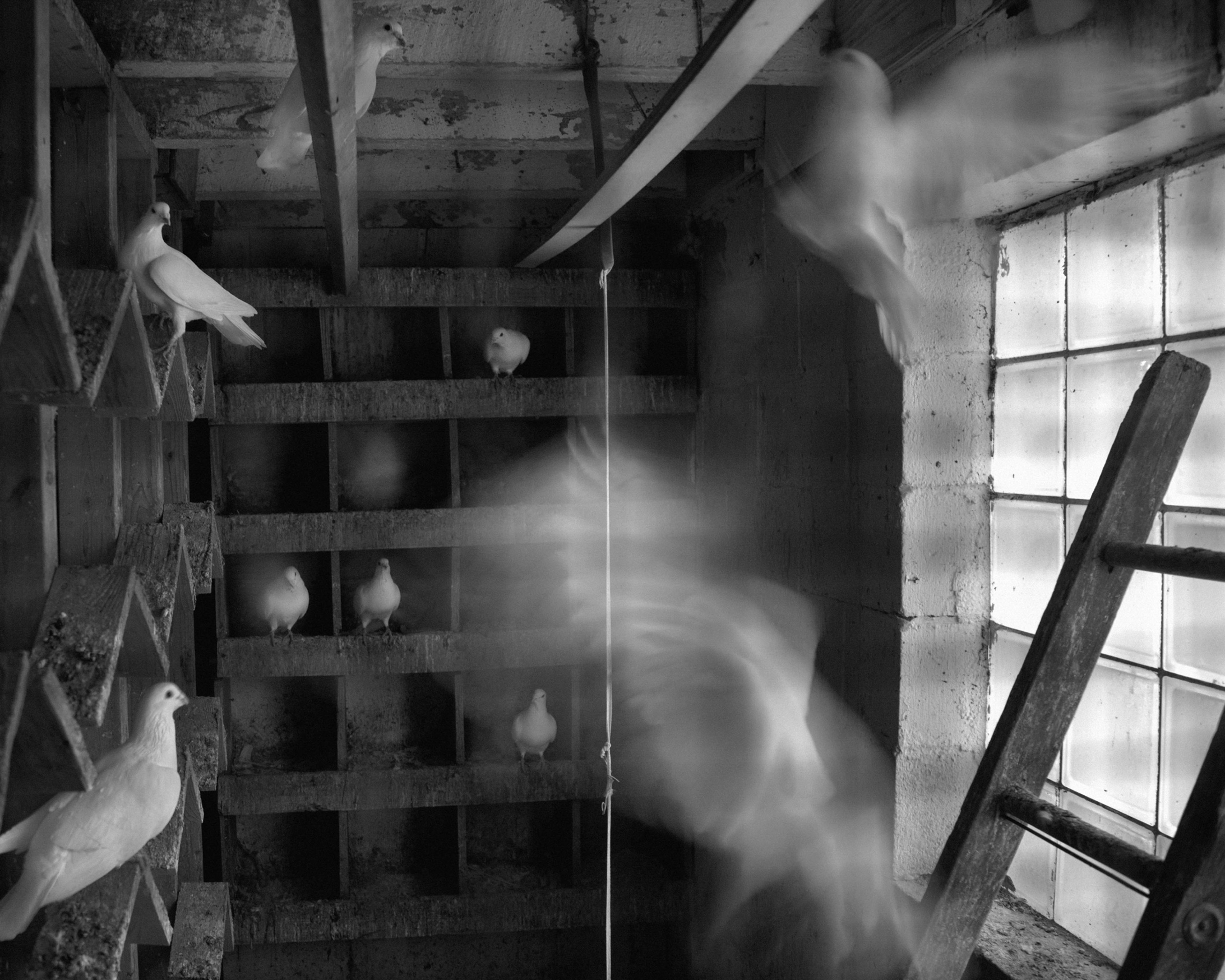 Dormant Season · Erinn Springer