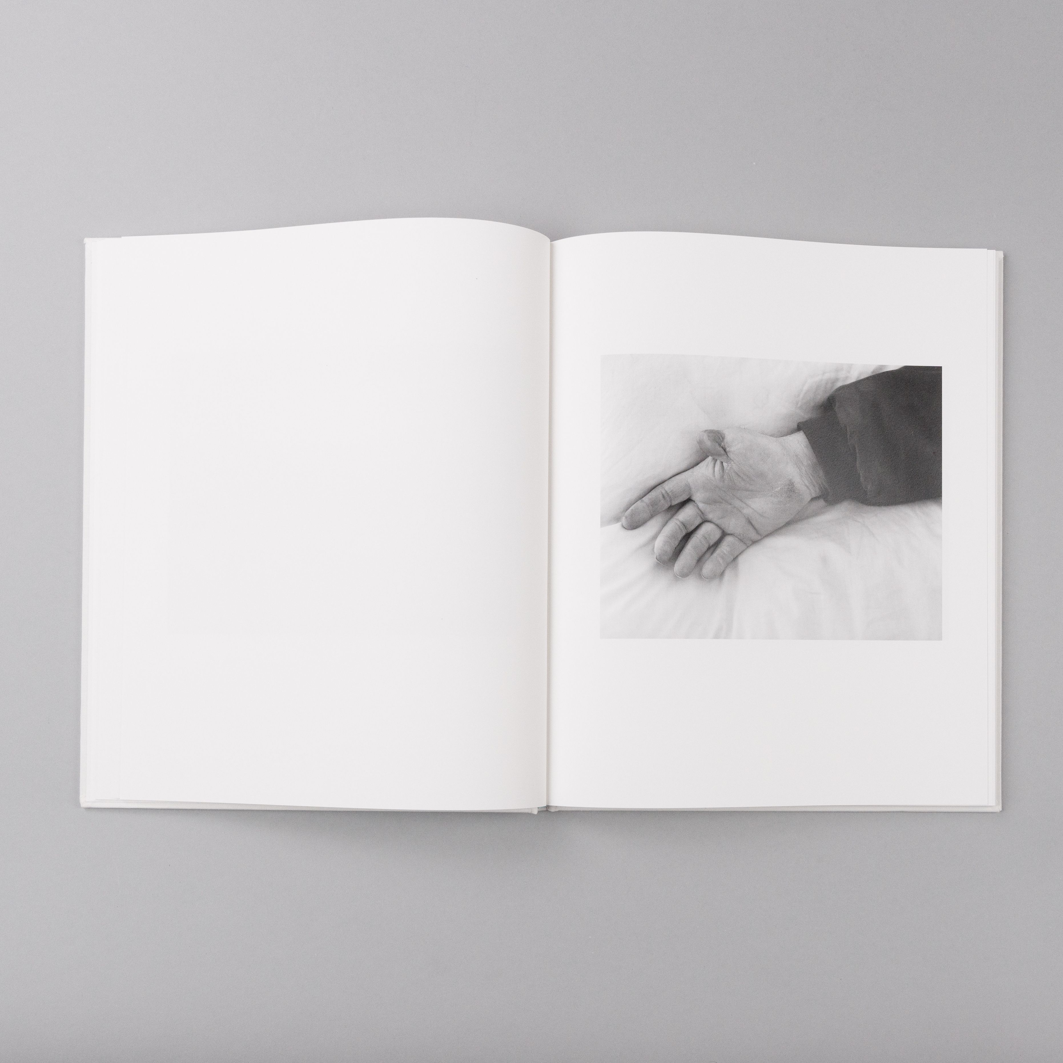 Dormant Season · Erinn Springer