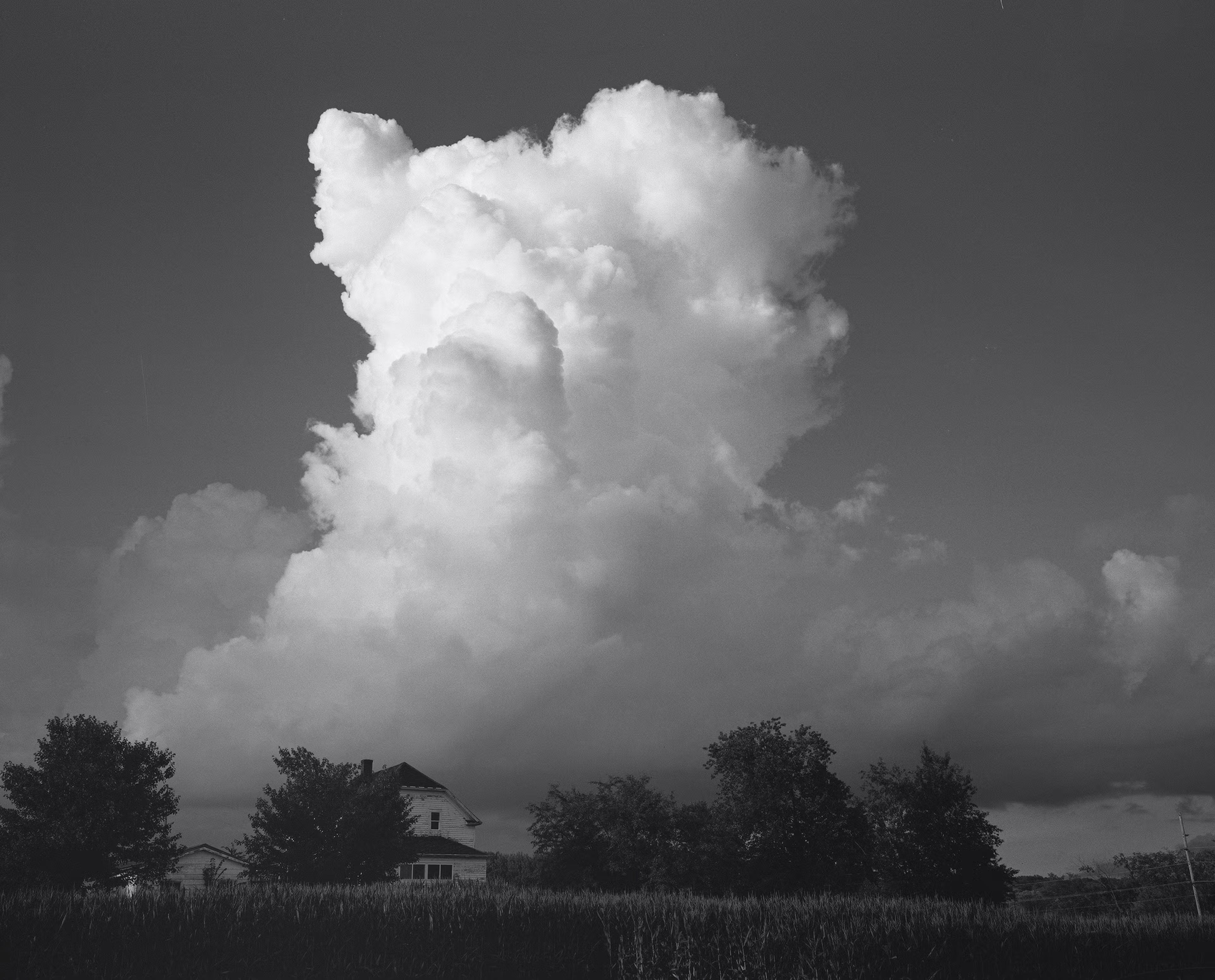 Home · Erinn Springer