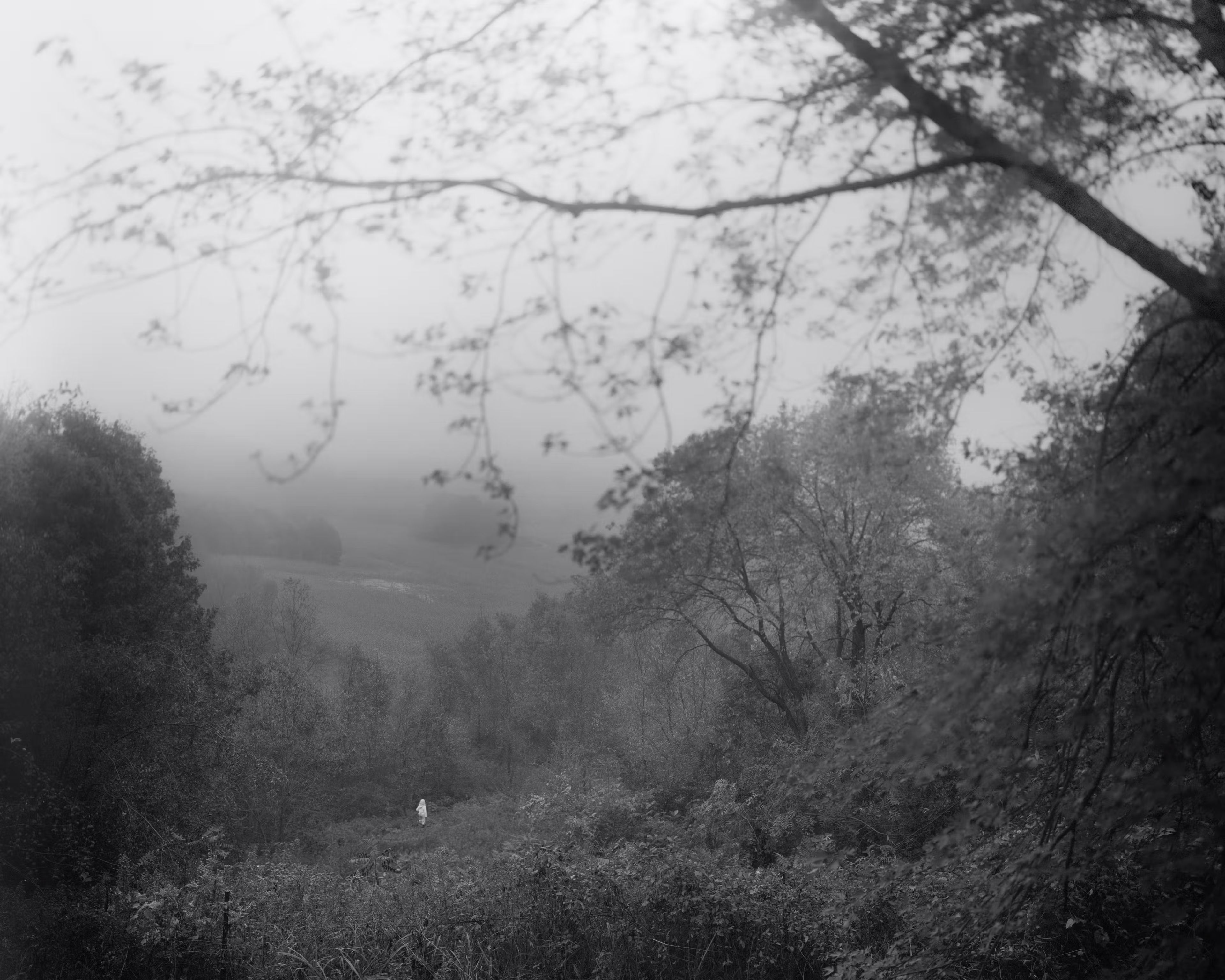 Home · Erinn Springer