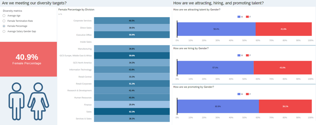 SAP SuccessFactors Workforce Analytics | Effective People