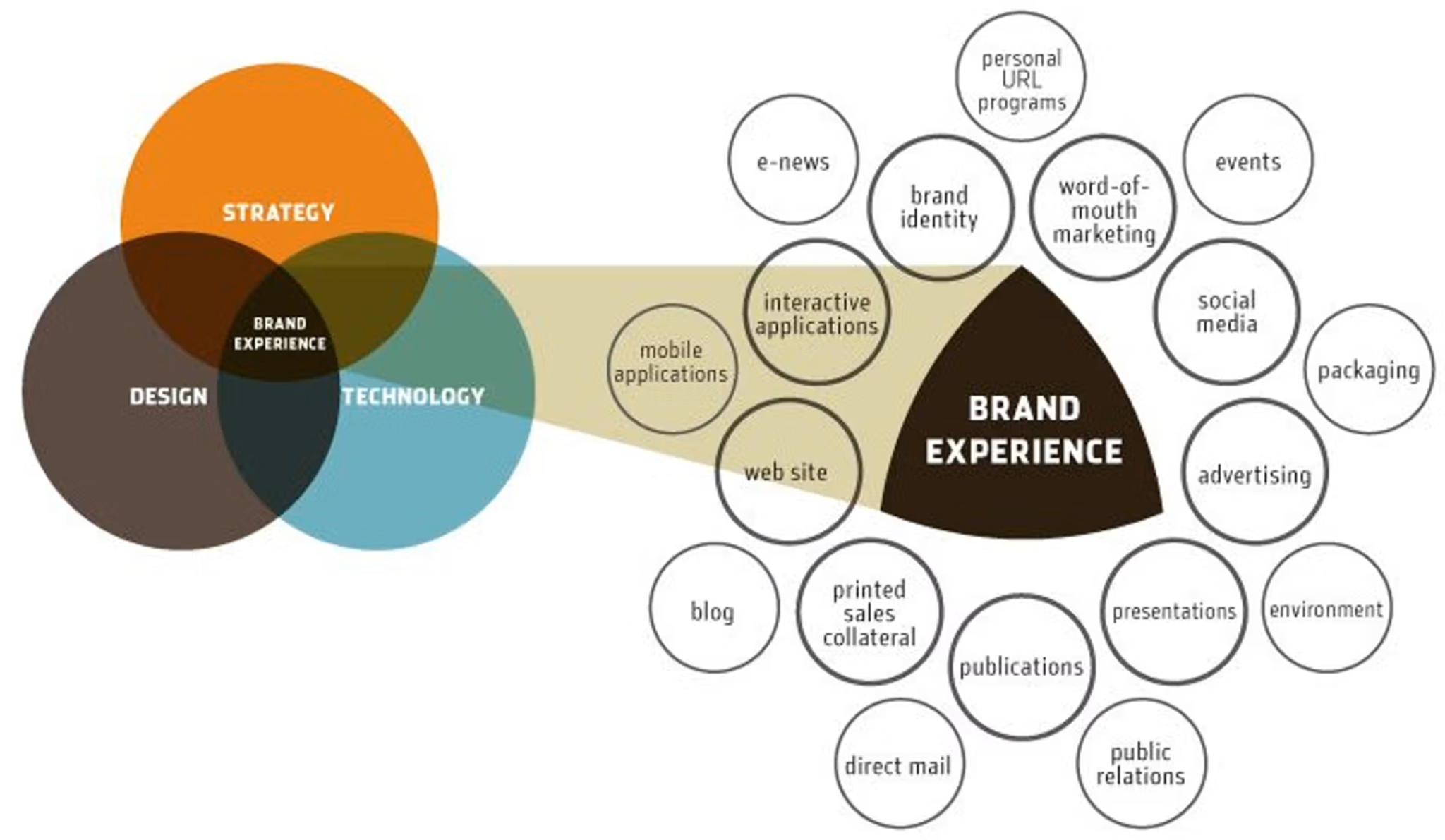The Essentials of Brand Experience: What It Is and Why It Matters | Clay