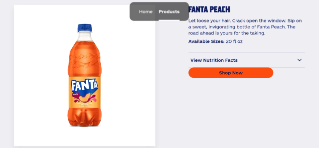 6 Steps to Design a Brand Aesthetic: Examples That Resonate With Your ...