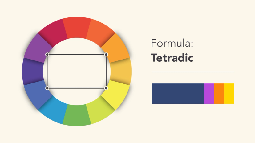 Color Theory in Web Design: Beginner's Guide | Clay