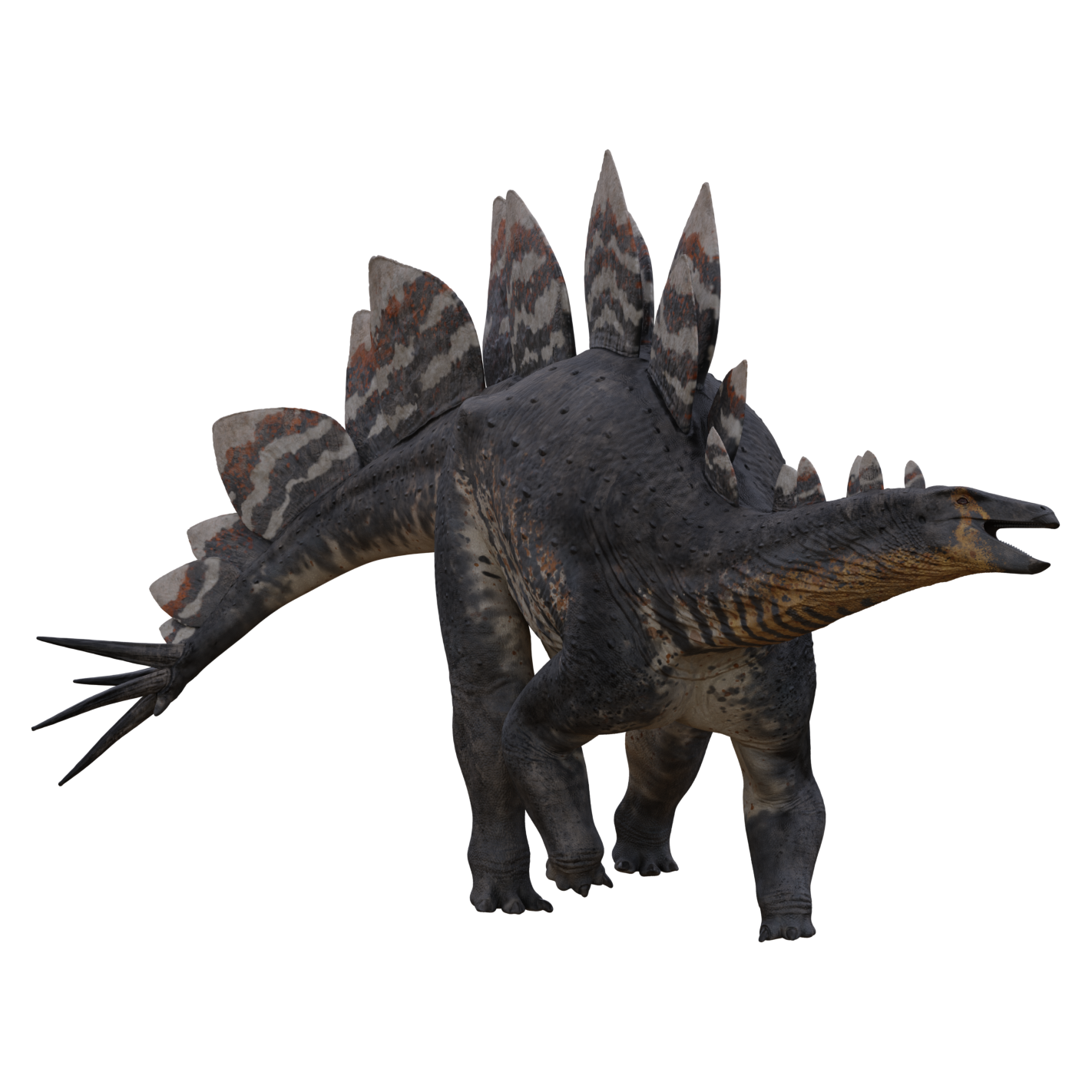 Stegosaurus | Facts app