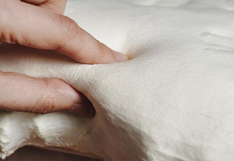 Mycelium Leather: The Ultimate Guide