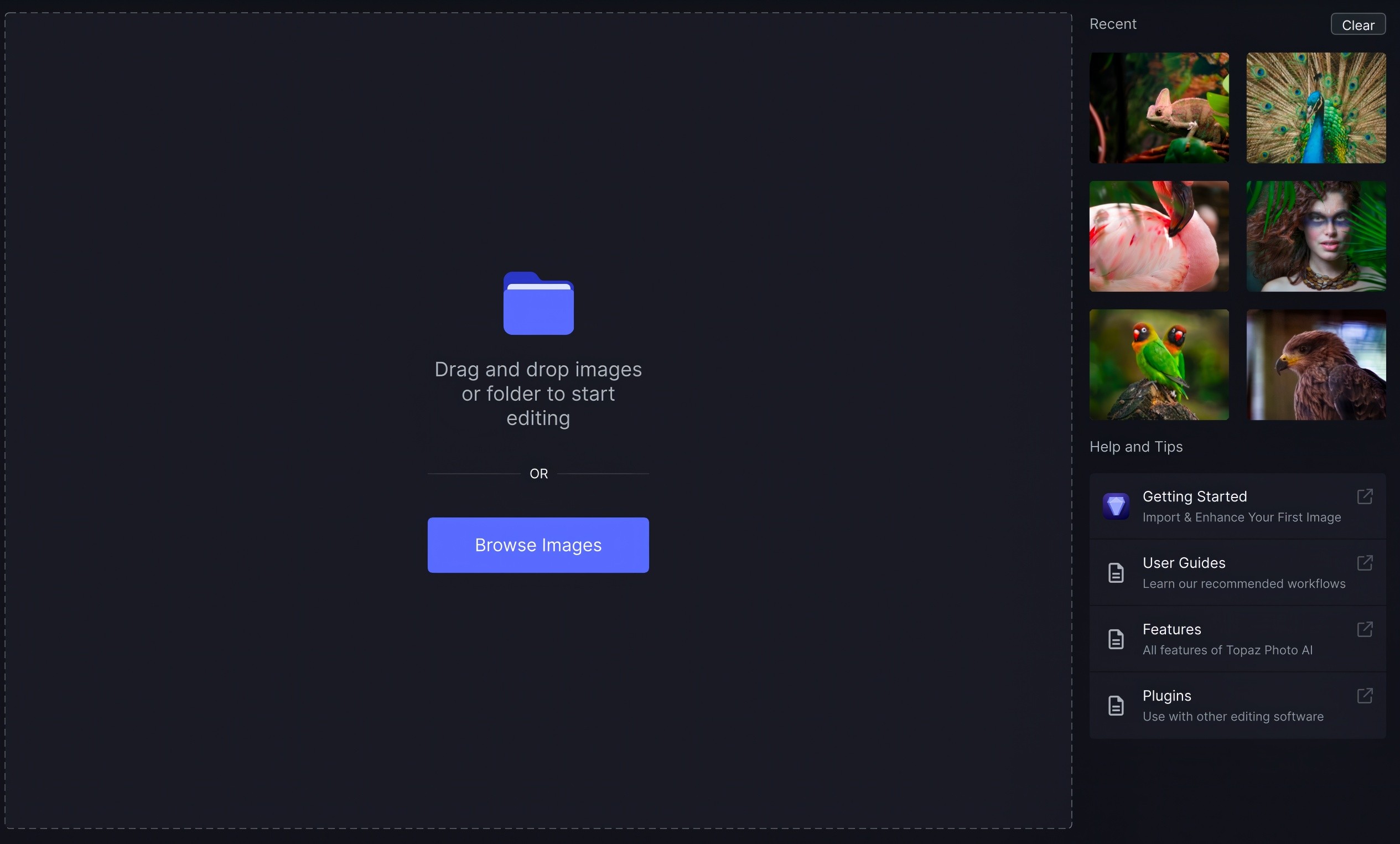 Quick Start | Topaz Photo AI