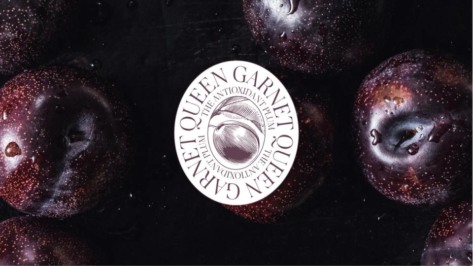 Queen Garnet, The Antioxidant Plum – RipePlanet
