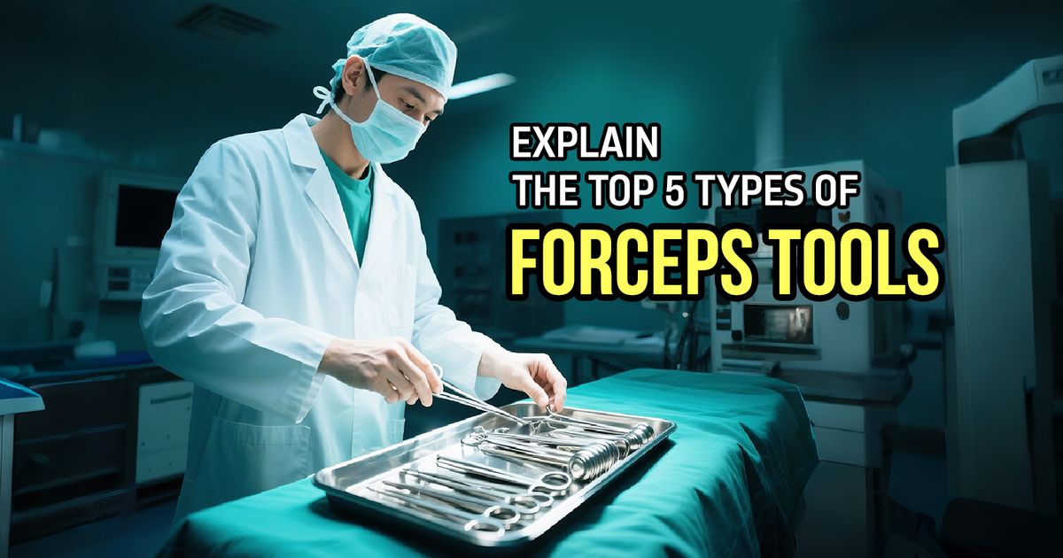 Explain the Top 5 Types of Forceps Tools | Blog