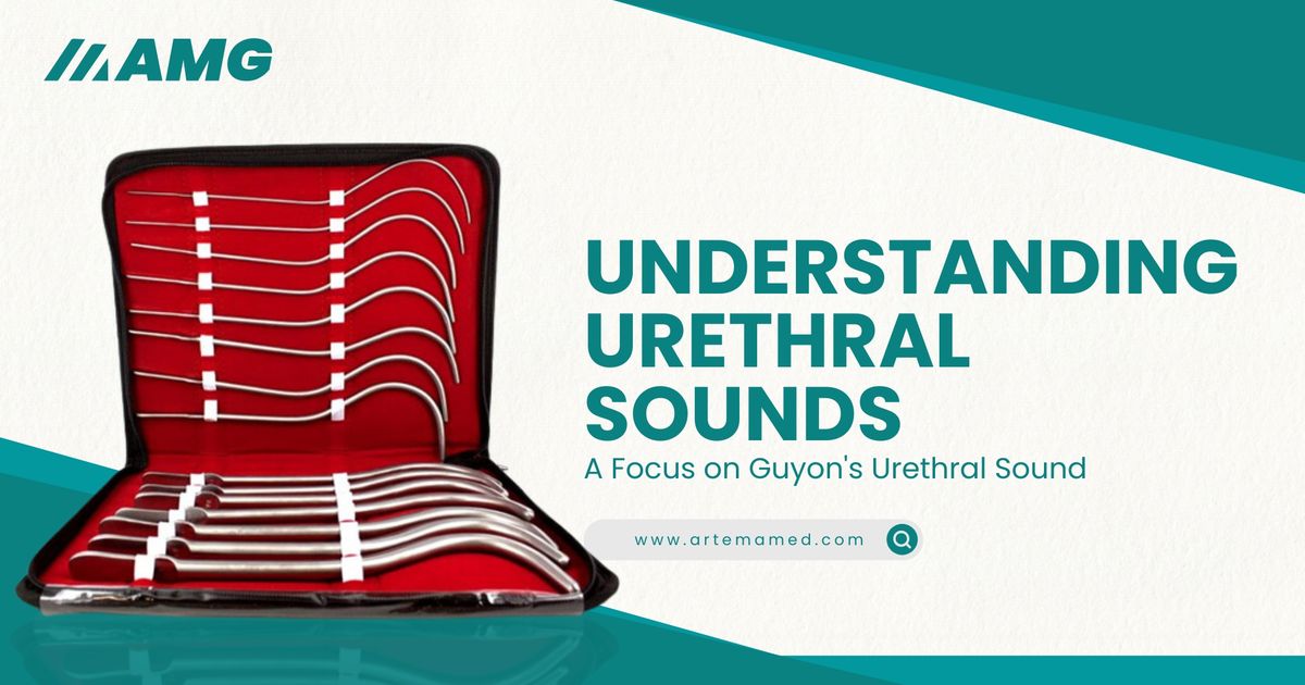 Understanding Urethral Sounds: A Focus on Guyon Urethral Sound | Blog