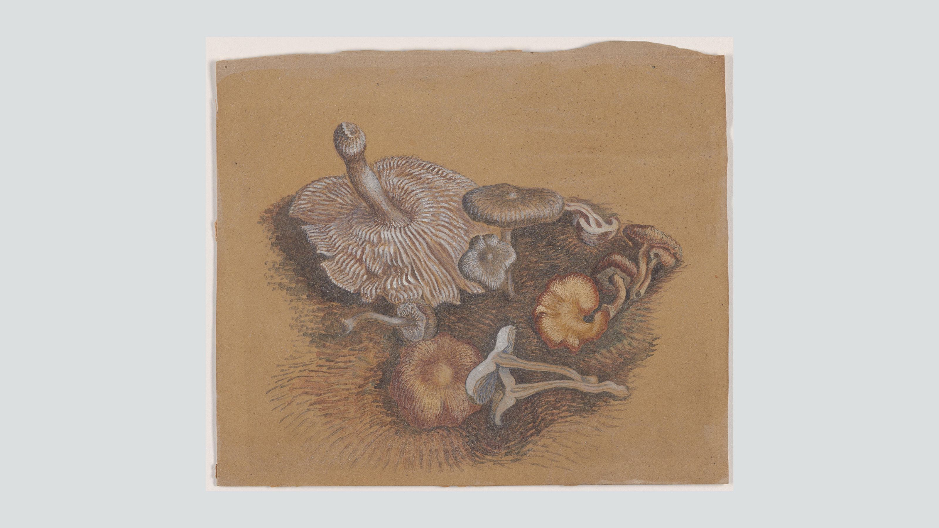 Wanda Gág | Philadelphia Art Museum