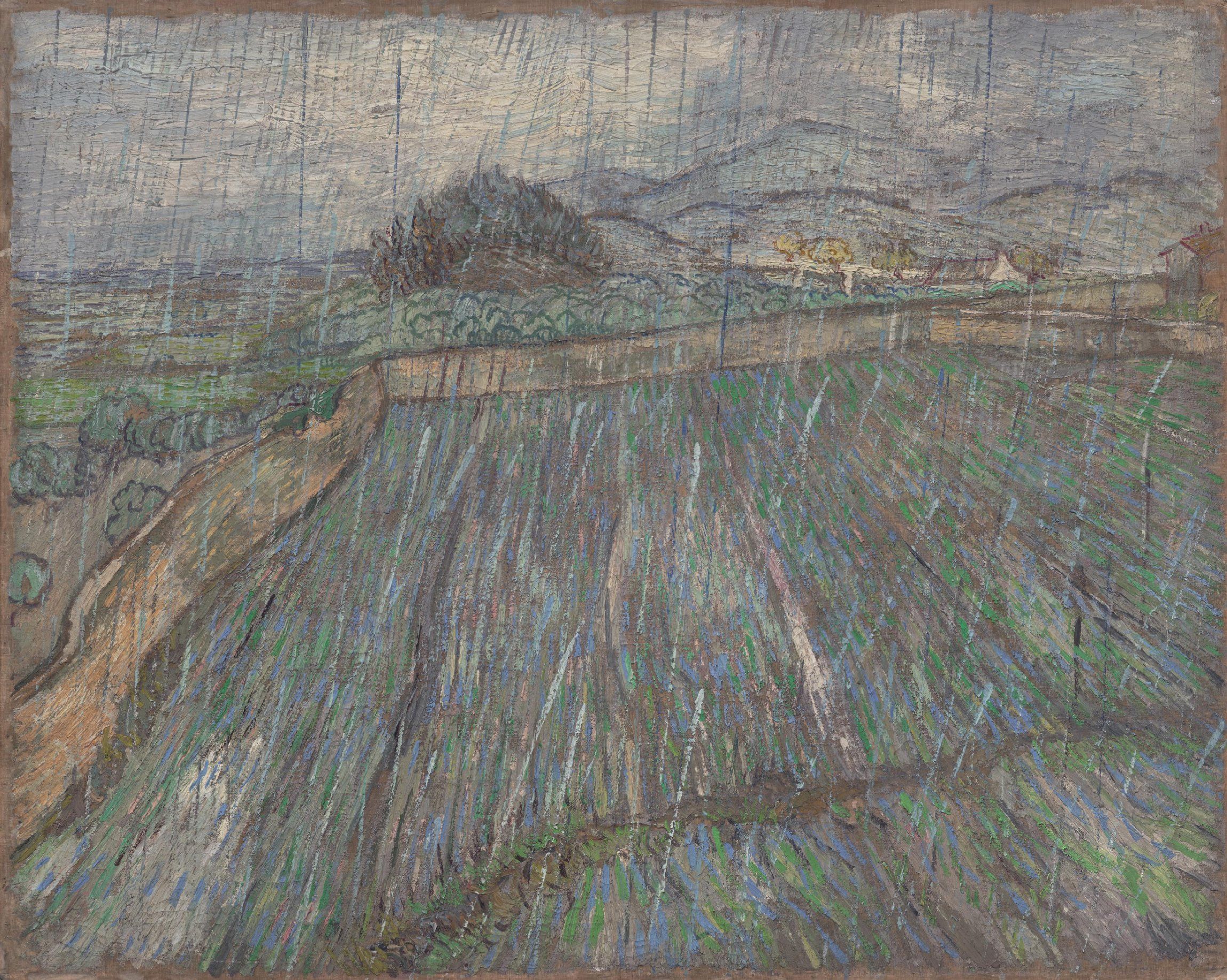 Van Gogh Up Close | Philadelphia Museum of Art