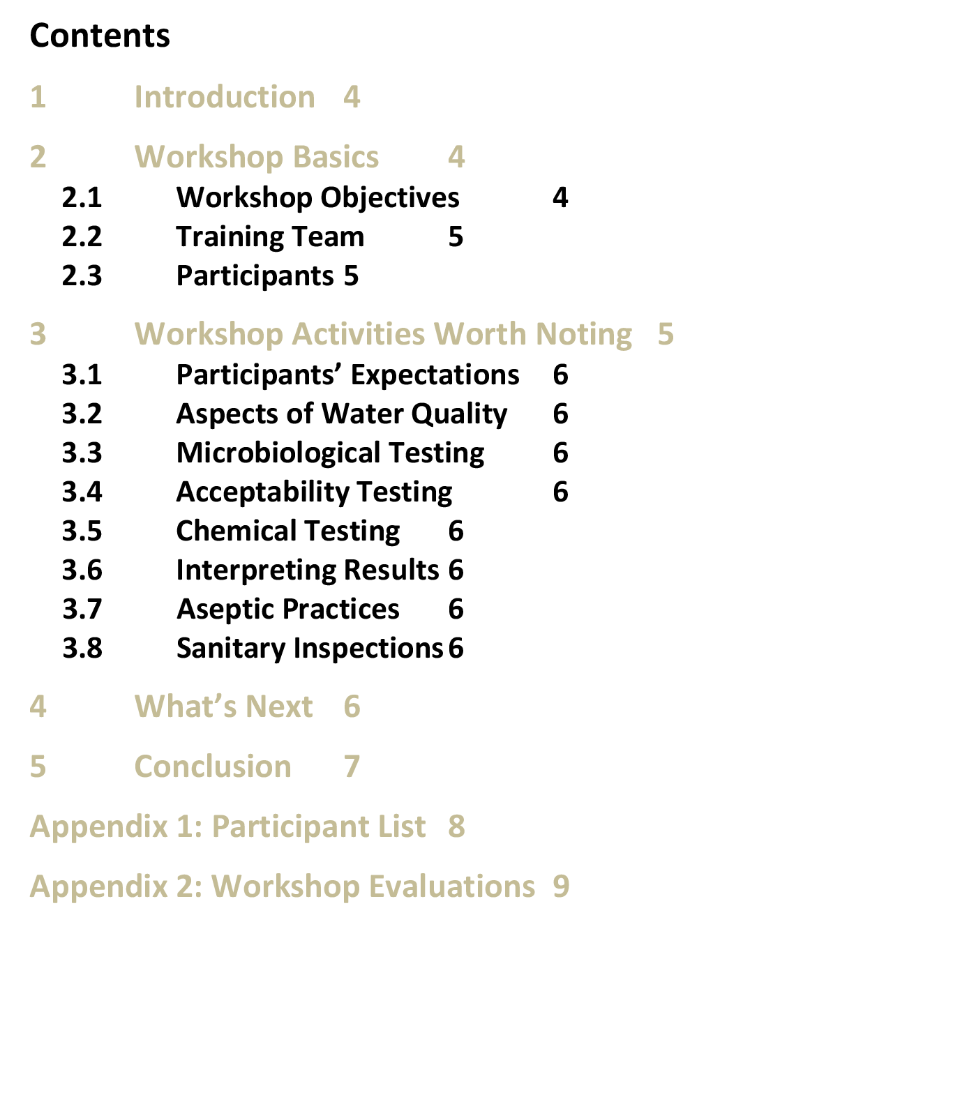 Workshop Report Template Dwqt Wash Resources