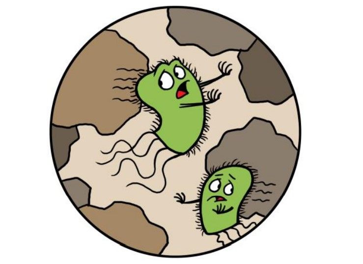 Biosand Filter | WASH Resources