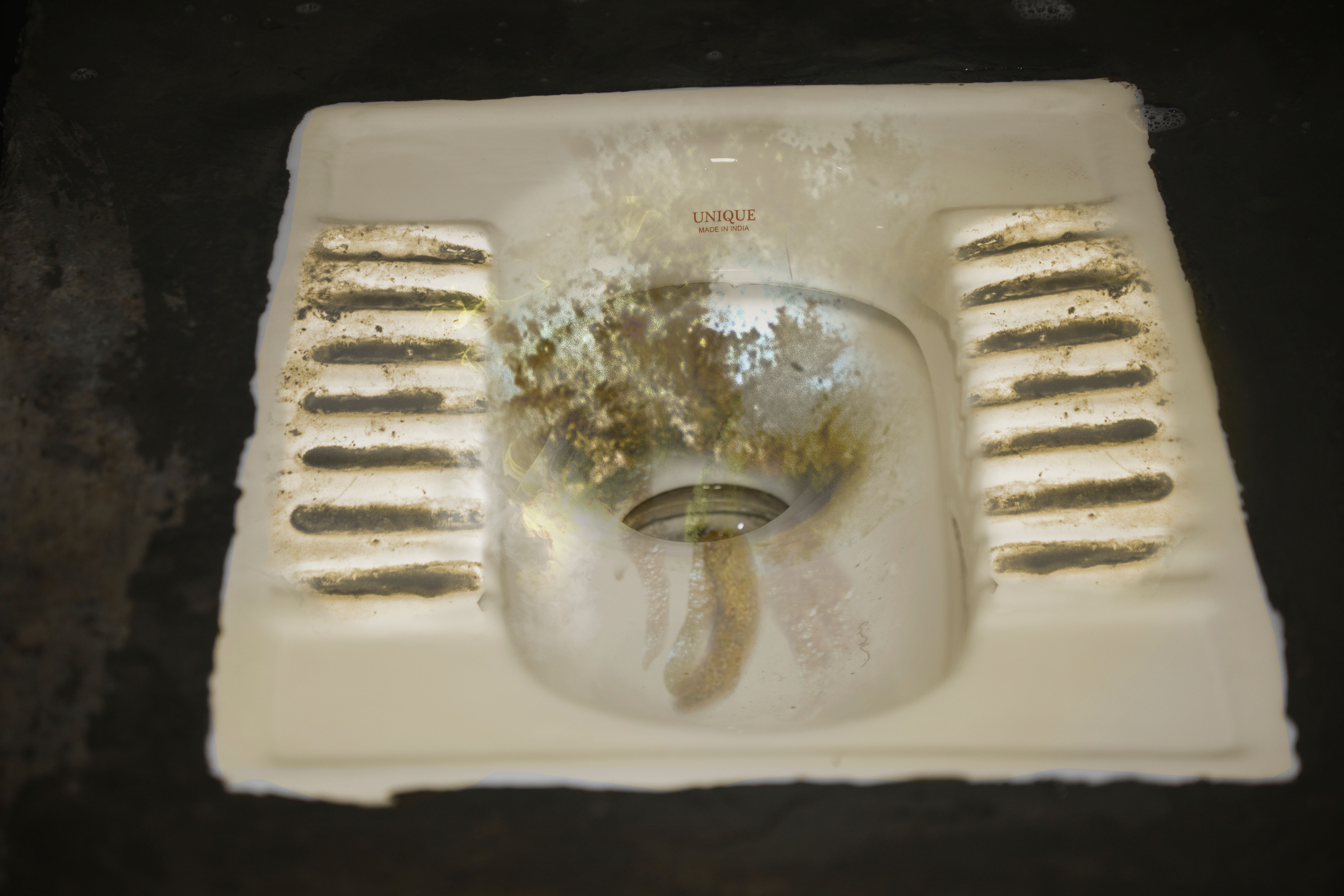 Happy Toilet Process Poster | WASH Resources