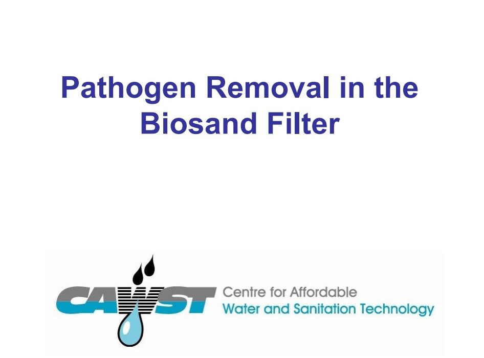 BSF Pathogen Removal Presentation (BSF for Techs) | WASH Resources