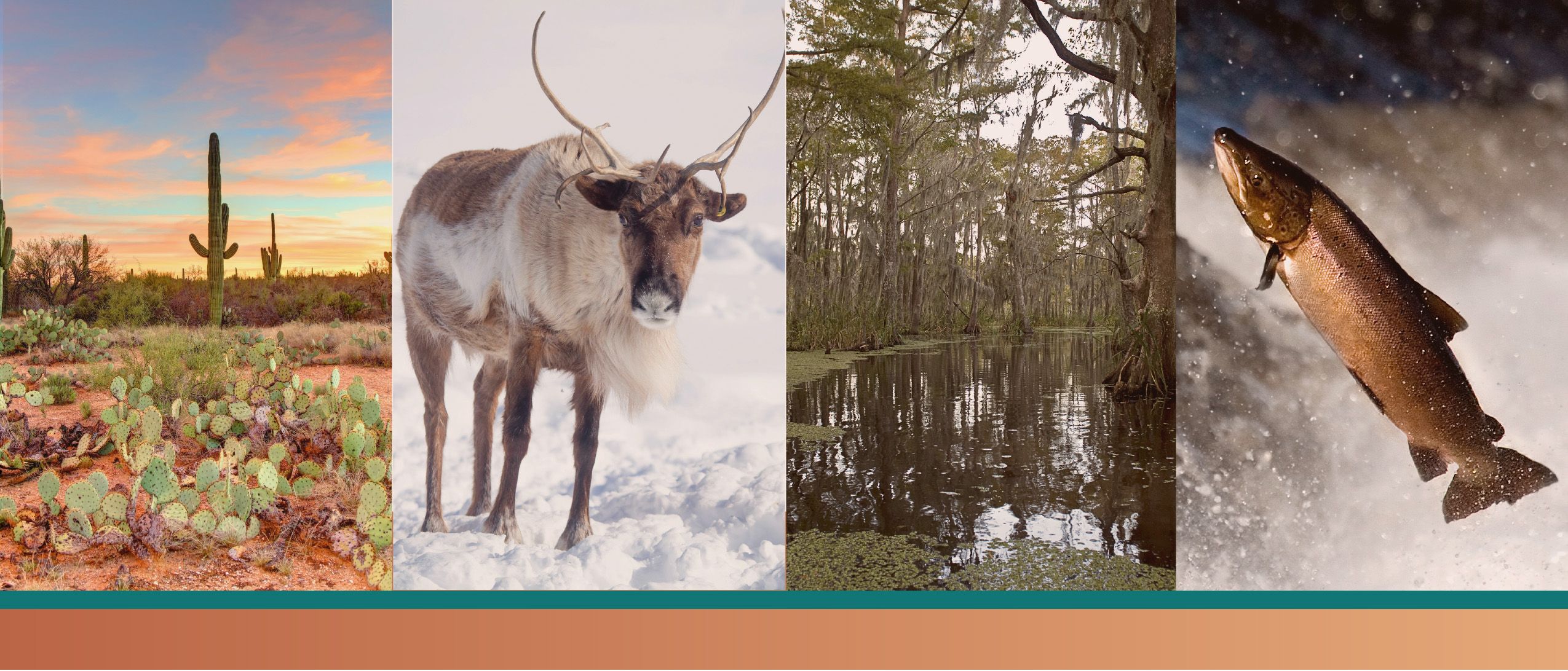 State Report Card Project | NCAI