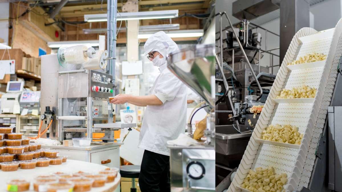 Vegan Processed Food: The Pros and Cons You Need to Know