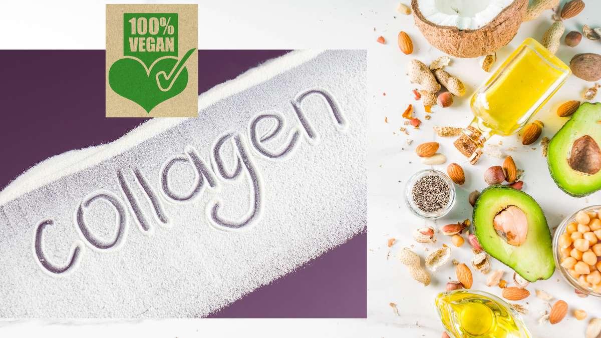 Exploring Vegan Collagen: Top Plant-Based Sources for Natural Collagen