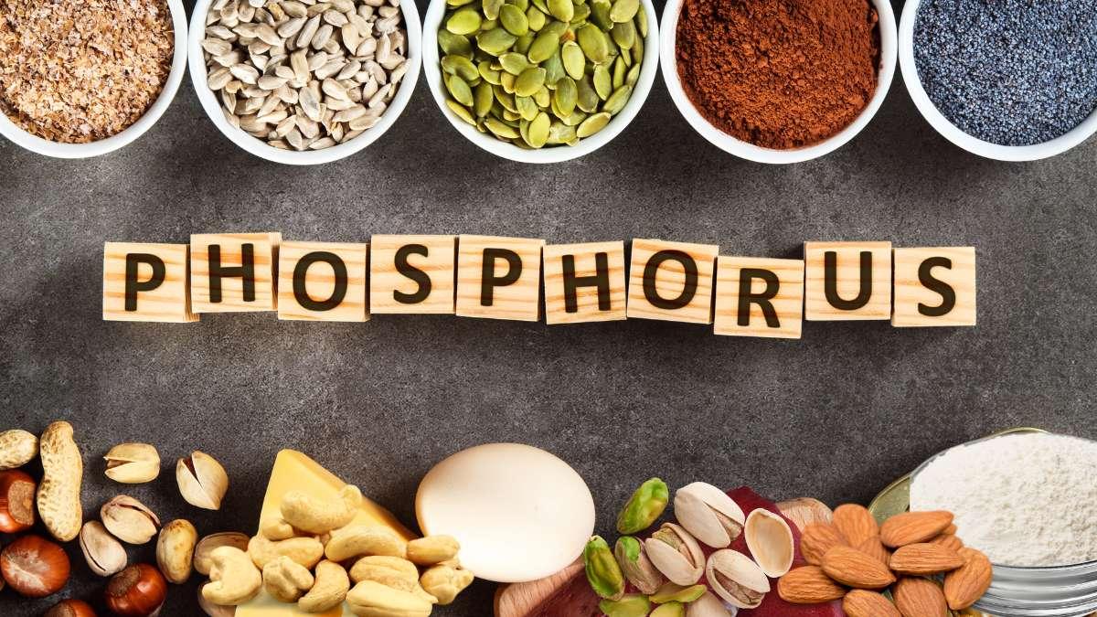 The Ultimate Guide to Top 20 Vegan Sources of Phosphorus