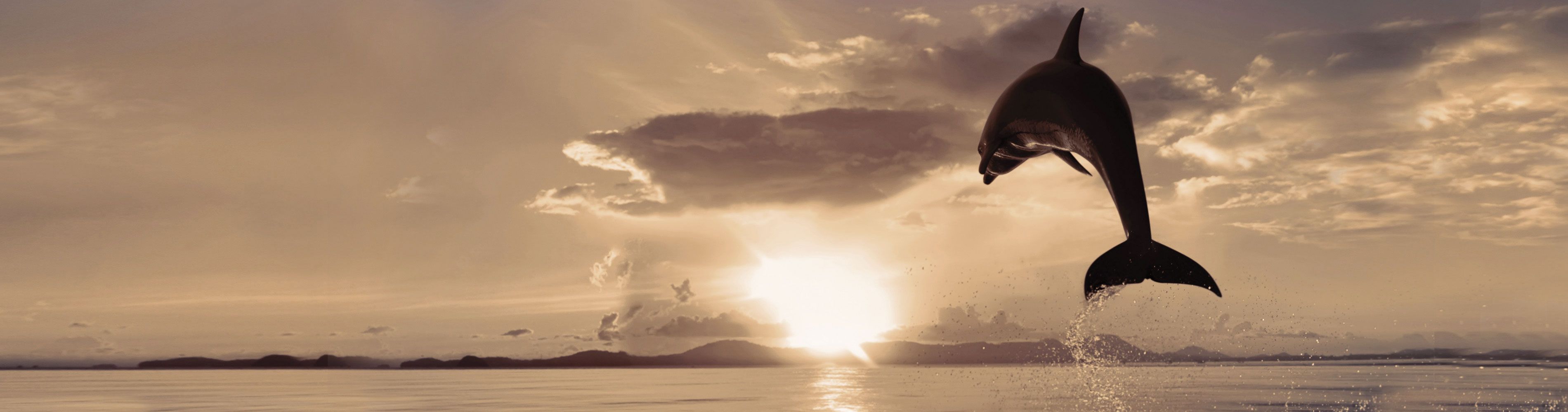 Transoceanic Luxury Cruises | Silversea