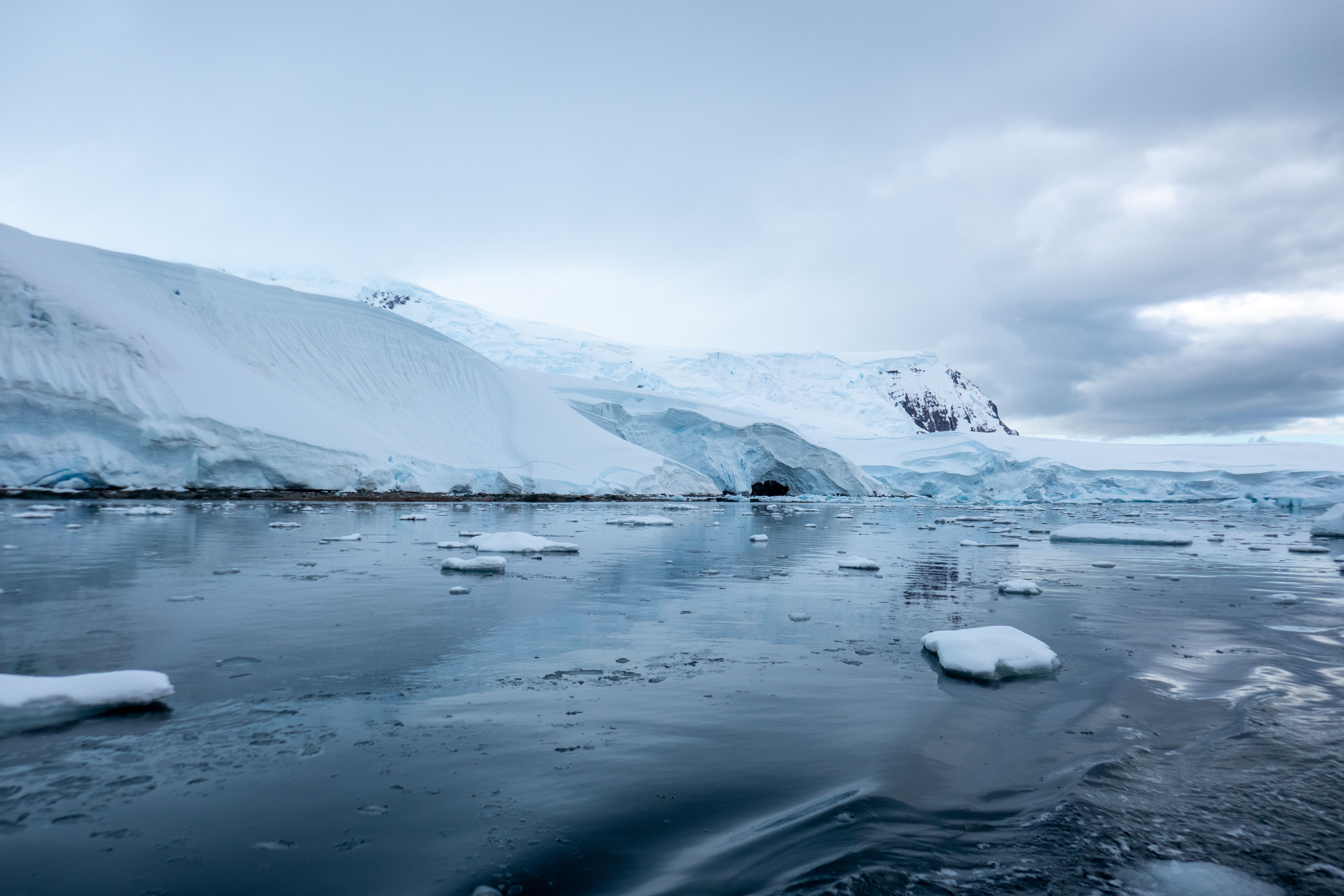 Kreuzfahrt von King George Island nach King George Island –EV271122006 ...