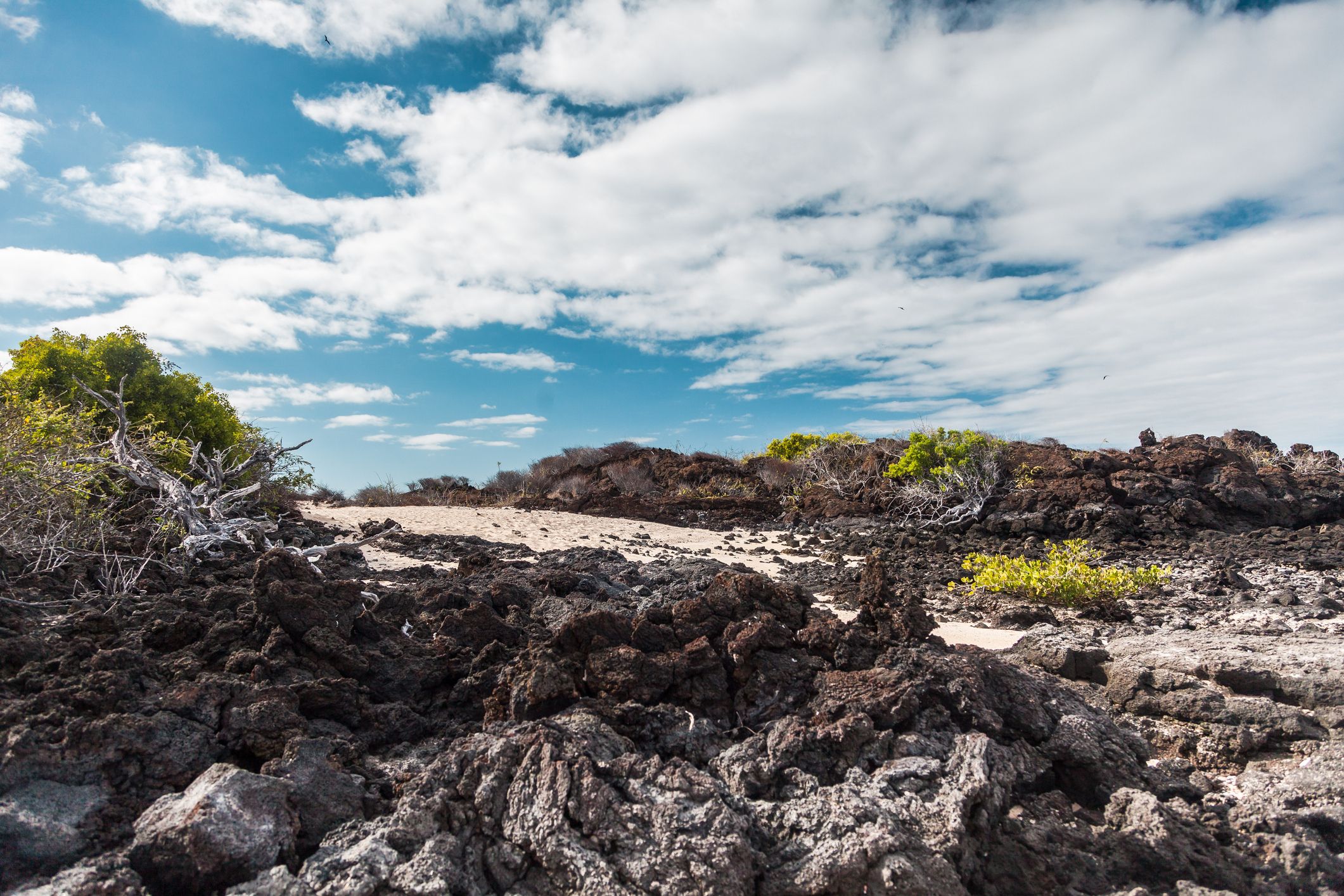 Experience All-Inclusive Ultra-Luxury Cruises | Silversea
