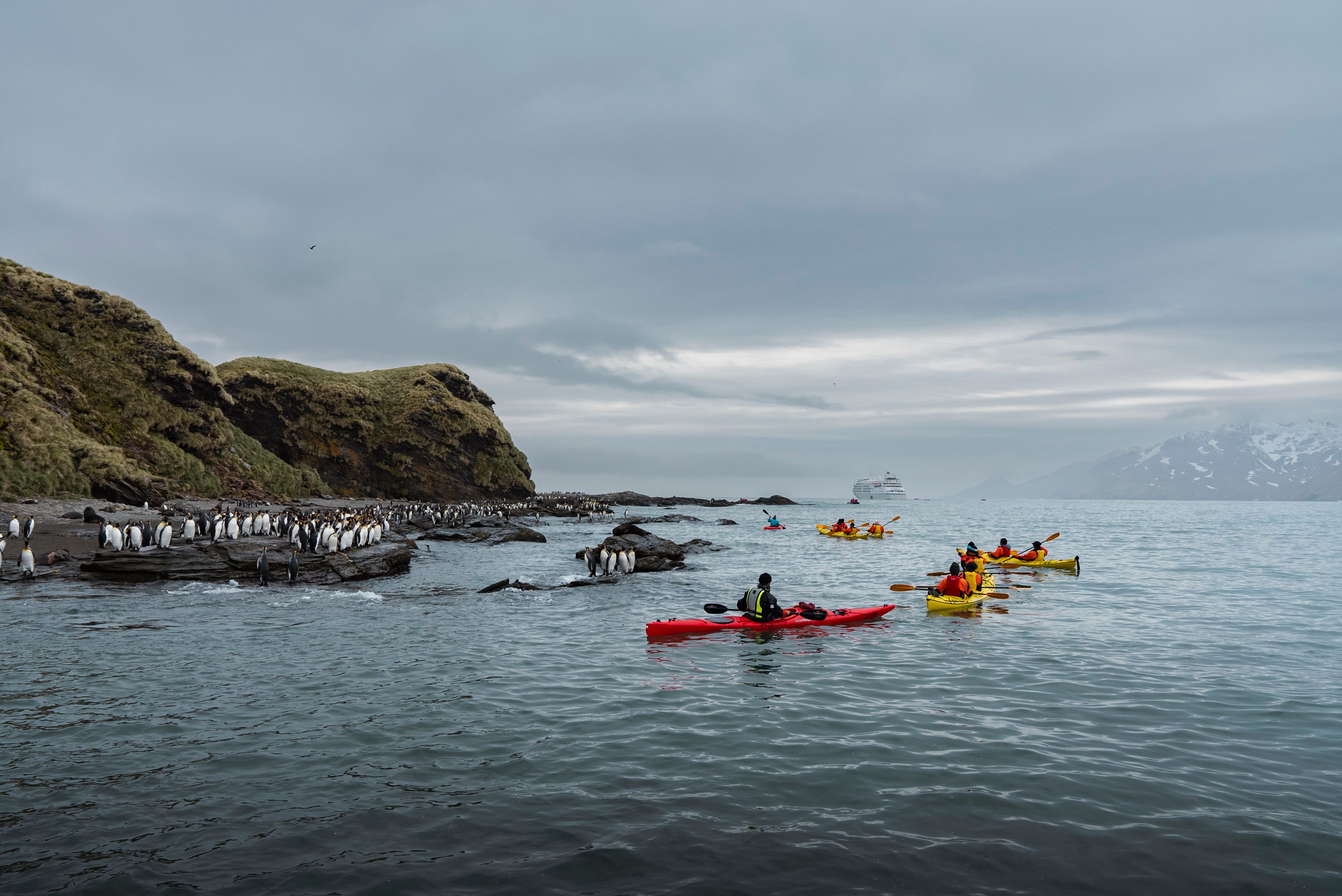 Expedition Cruises | Silversea