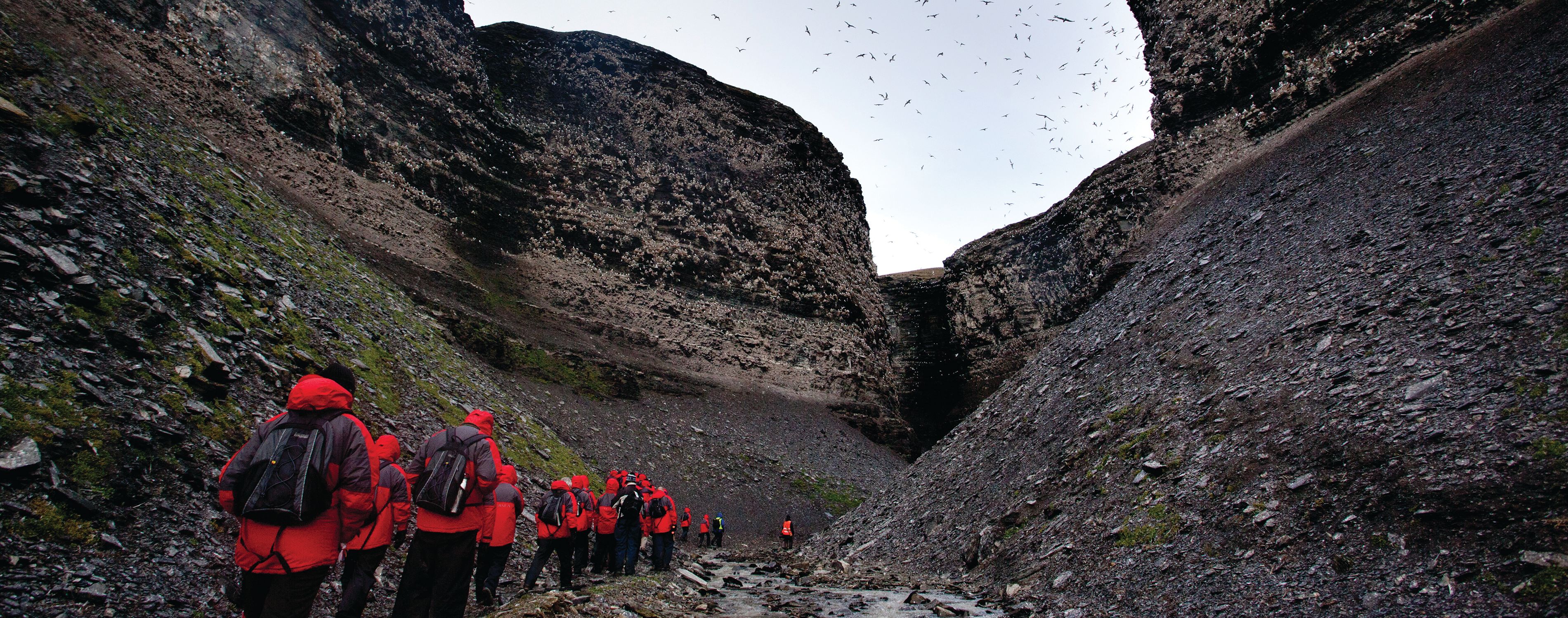 New Summer Luxury Cruises - Arctic 2025 | Silversea