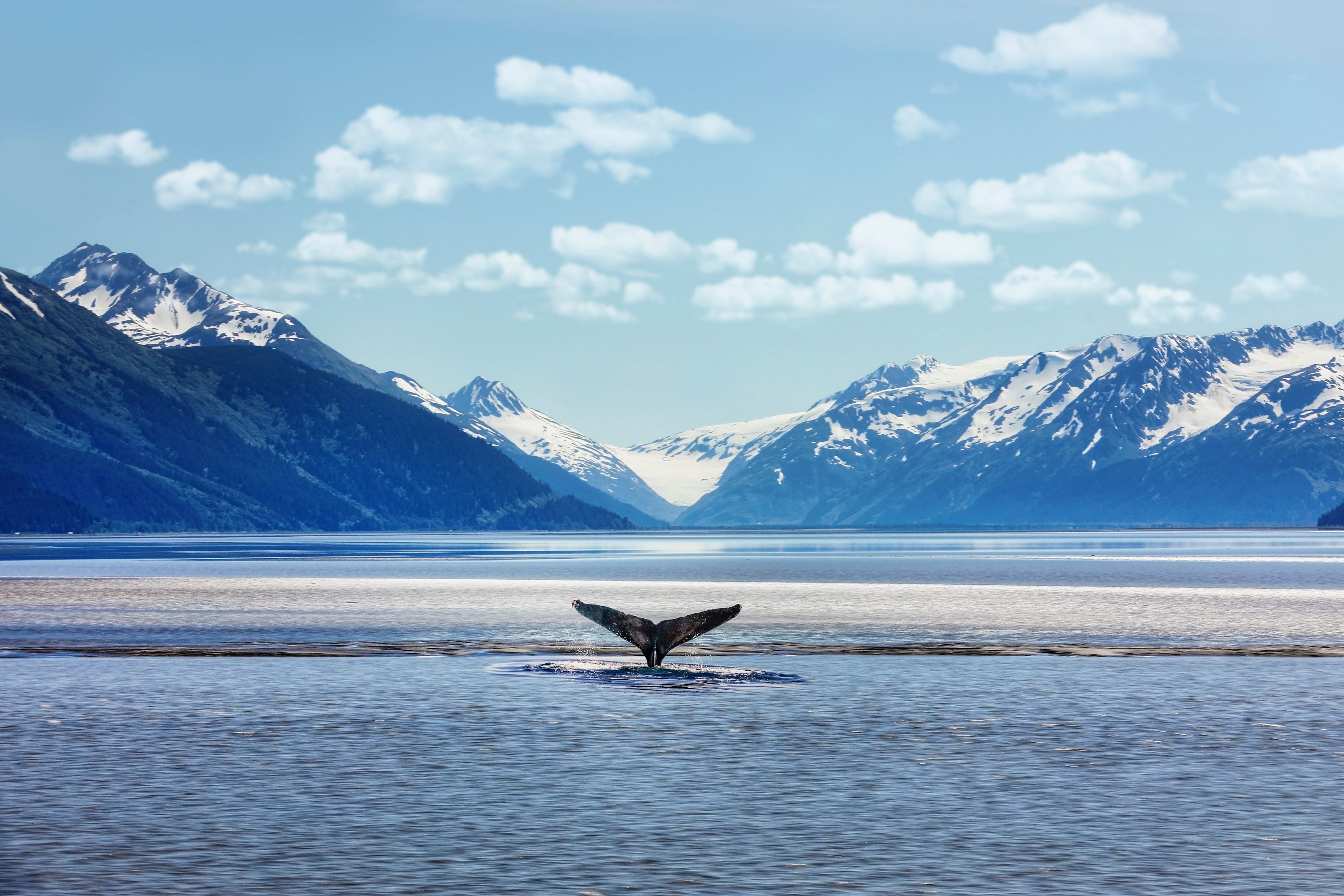 Alaska Luxury Cruises | Silversea