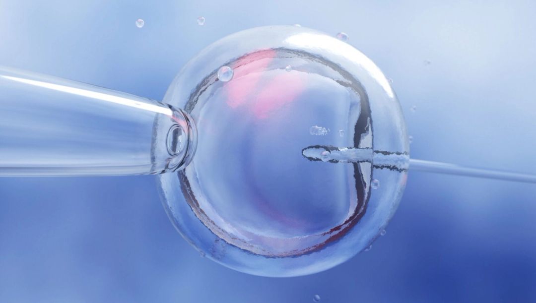 What is In Vitro Fertilisation - And How Does it Work? | Adora Fertility