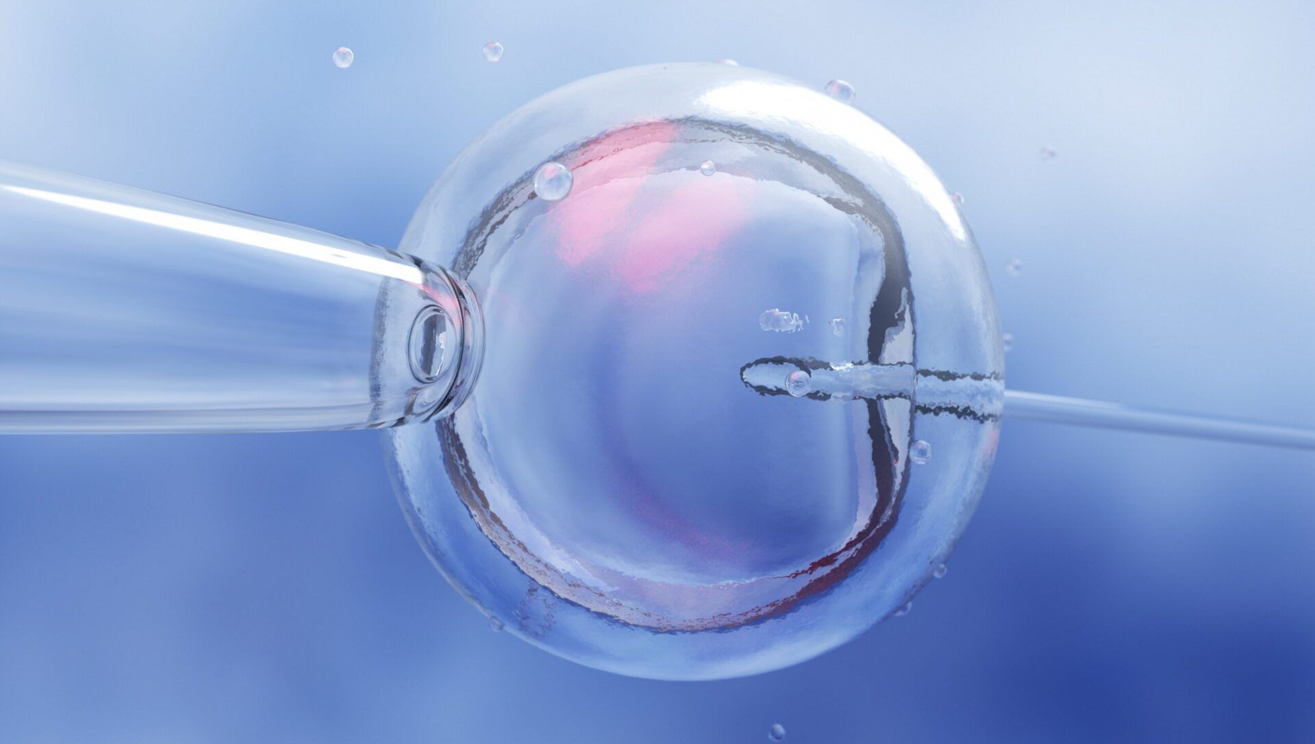 What is In Vitro Fertilisation - And How Does it Work? | Adora Fertility