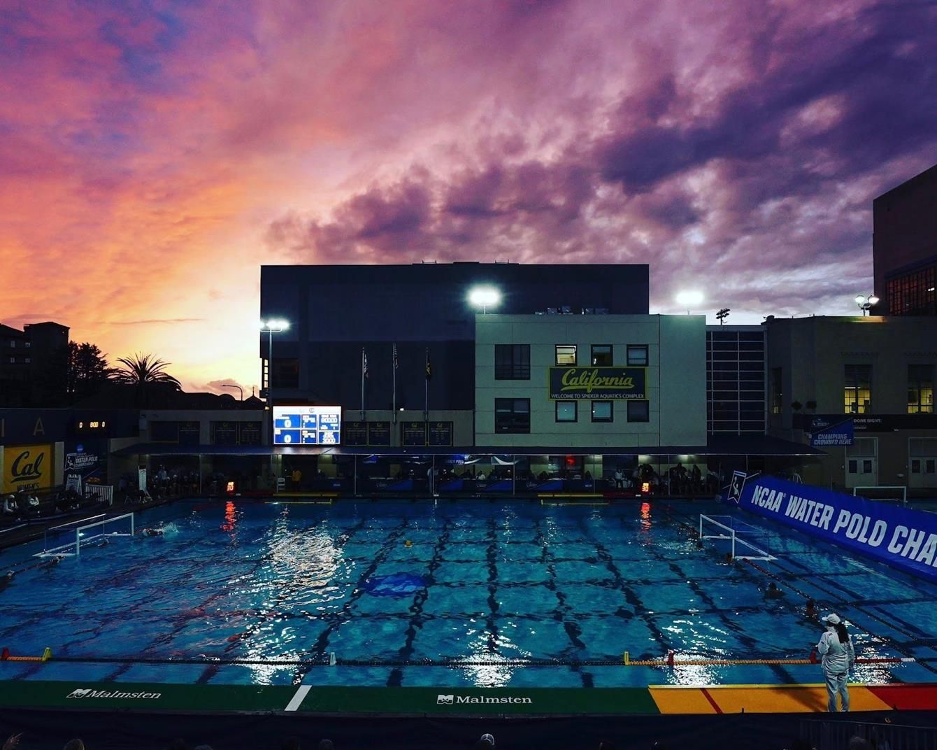 Jumping into the NCAA men's water polo season | The GIST