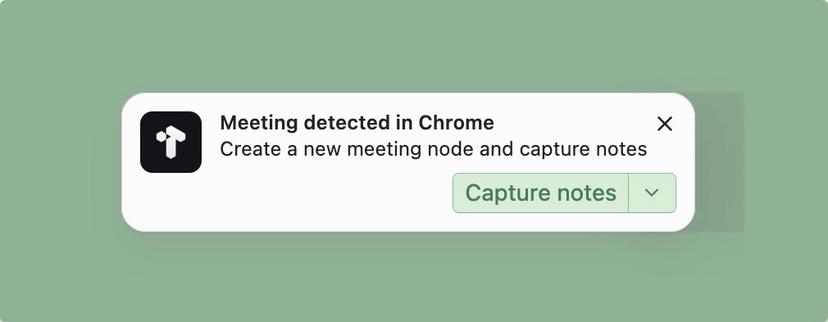 Tana Desktop App | Offline Work, Bot Free Meeting Notes, Tabs & Panels