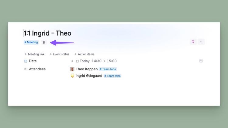 Tana meeting notetaker: transcribe and summarize meetings without bots