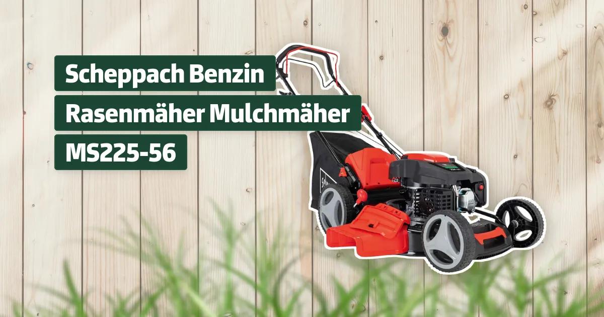 Scheppach MS225-56 Test: Kraftpaket für große Rasenflächen