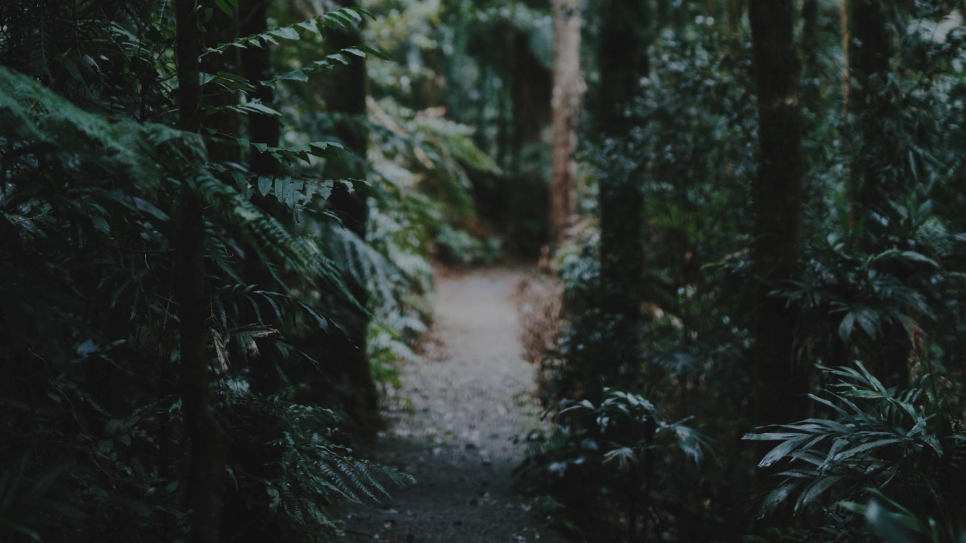 Walking Meditation Guide: How to Practice Meditative Walking ...